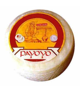 Goat and sheep cheeses, cured and semi-cured. Cheese with rosemary ...