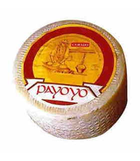 Payoyo Cheese